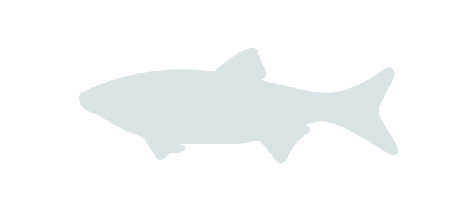 Catálogo Digital de la Biodiversidad Acuática del Perú